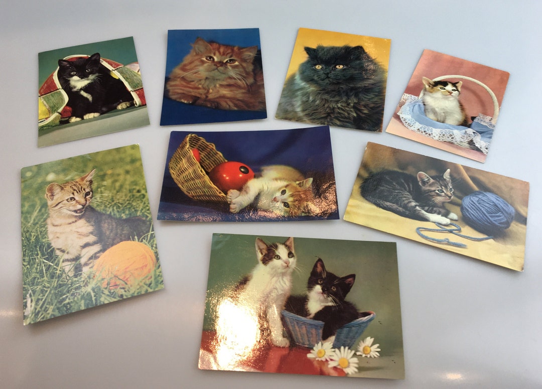 Vintage Cat Postcards Set of 8 Psc Unused Kitten Photo Greeting Cards ...