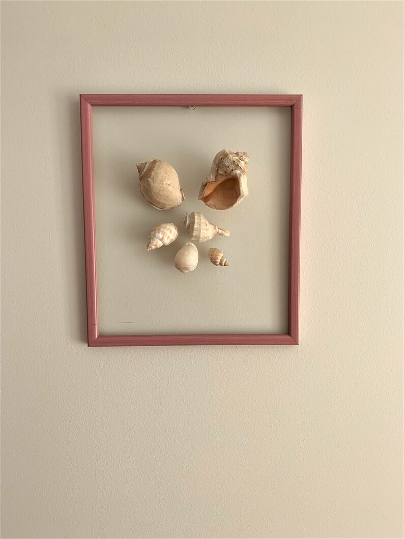 Sea Shell Wall Art Framed Seashells Sea Shell Wall Frame Sea Shell Wall ...