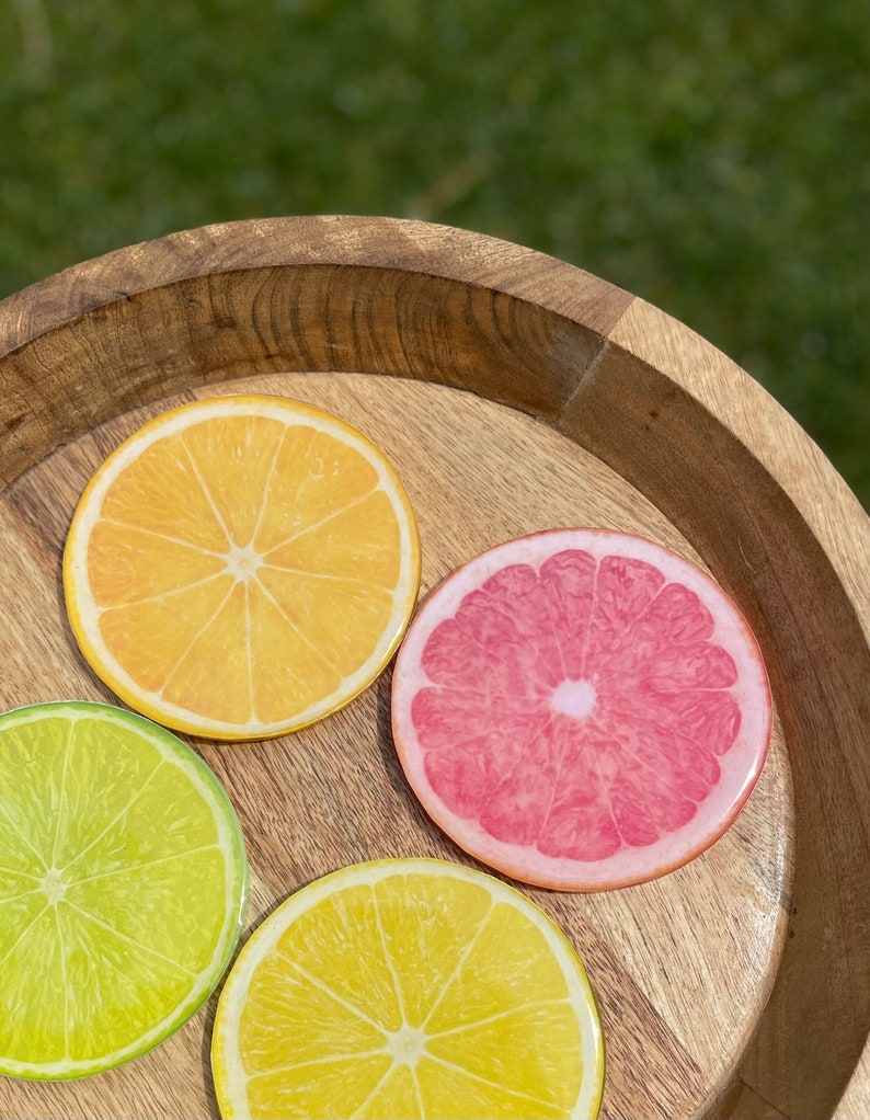 Citrus Fruit Slice Resin Coasters: Summer Kitchen Decor - Etsy UK