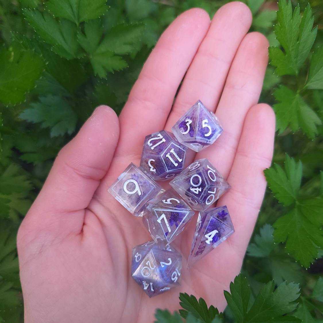 Dnd Dice Set Purple Blossom Terrarium clear Framed Caged - Etsy