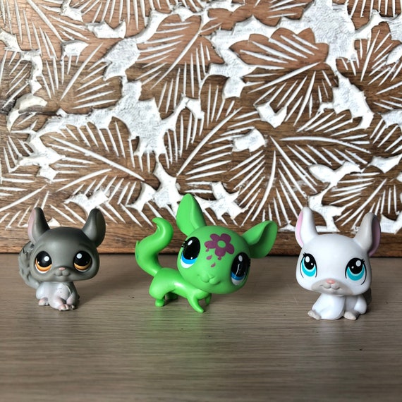 LPS / Chinchilla 144 1401 3514 / Hasbro Juguetes raros de | Etsy