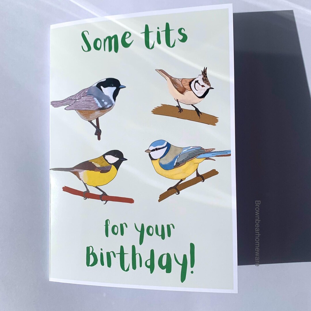 Funny Cheeky Rude Hand Drawn Bird Birthday Card With Tit Birds Greeting ...