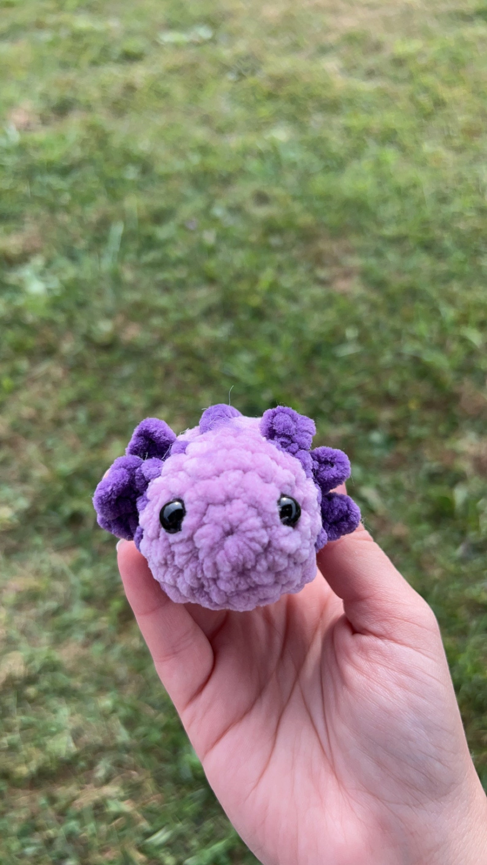 Axolotl, Crochet Axolotl Plushie, Axolotl Plushie, Small Axolotl, Small ...