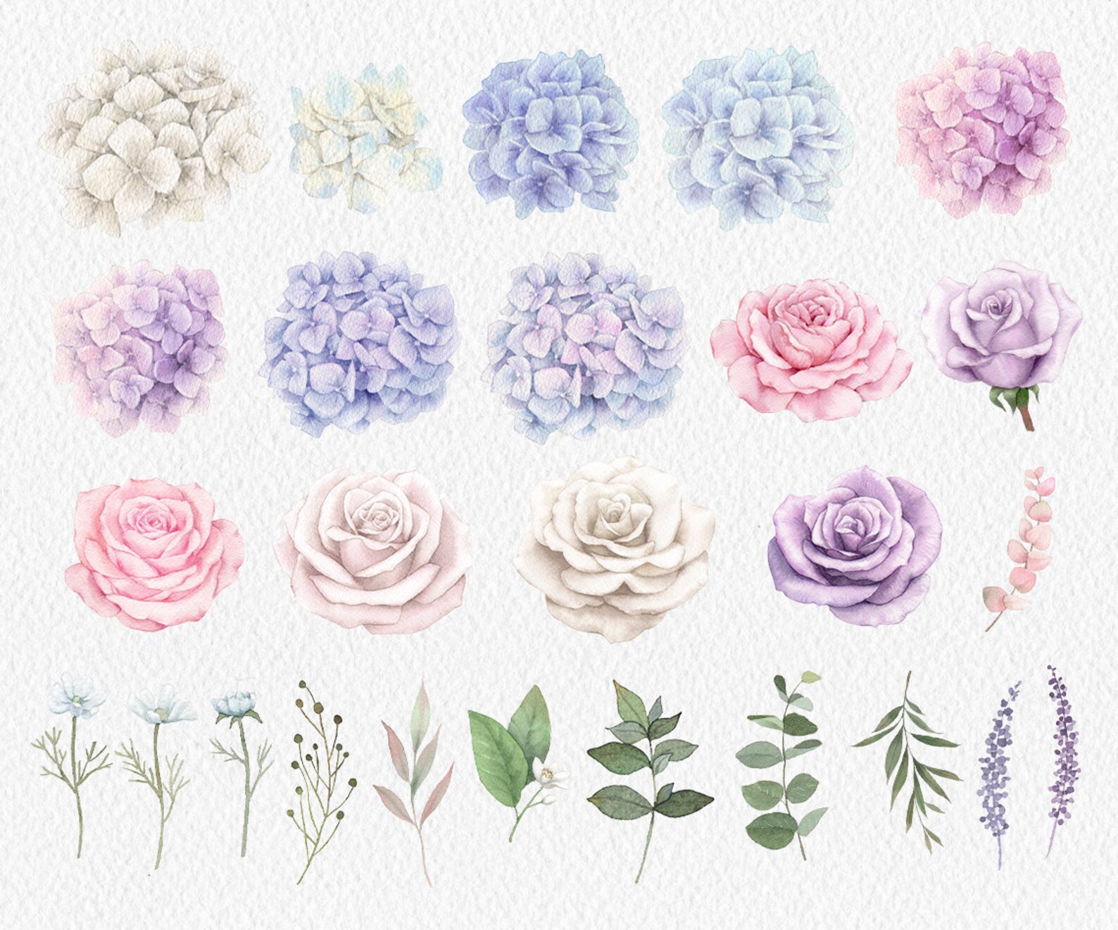 Watercolor Hydrangea Flower Clipartroses Bouquetsfor Wedding - Etsy