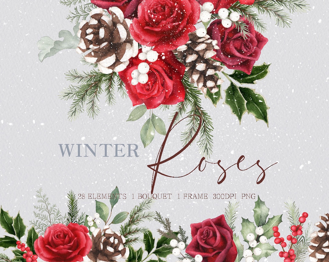 Watercolor Winter Christmas Clipart,pine Cones Winter Rose Florals ...