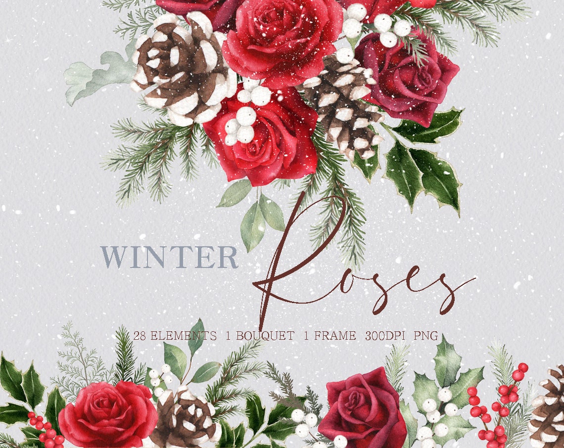 Watercolor Winter Christmas Clipartpine Cones Winter Rose - Etsy