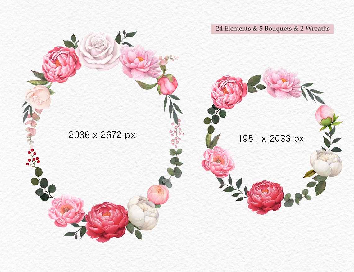 Watercolor Flower Clipartpink Peony Bouquetroses - Etsy