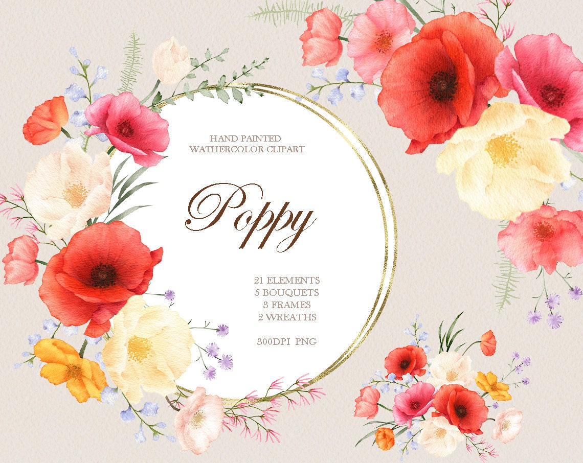 Watercolor Poppy Floral Clipartred Flower Bouquetsboho Poppy - Etsy