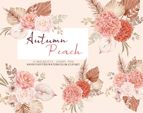 Peach Flower Clipartwatercolor Autumn Floral Hydrangea - Etsy