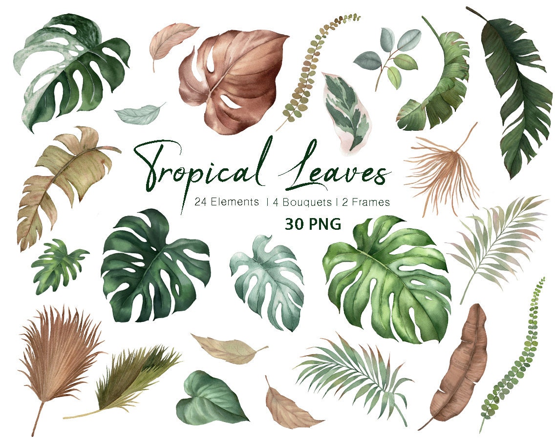 Watercolor Greenery Clipart,palm Leaf,tropical Leaves,greenery Clipart ...