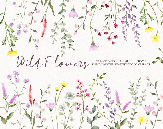 Watercolor Wildflower Floral Clipartspring Flowergarden - Etsy