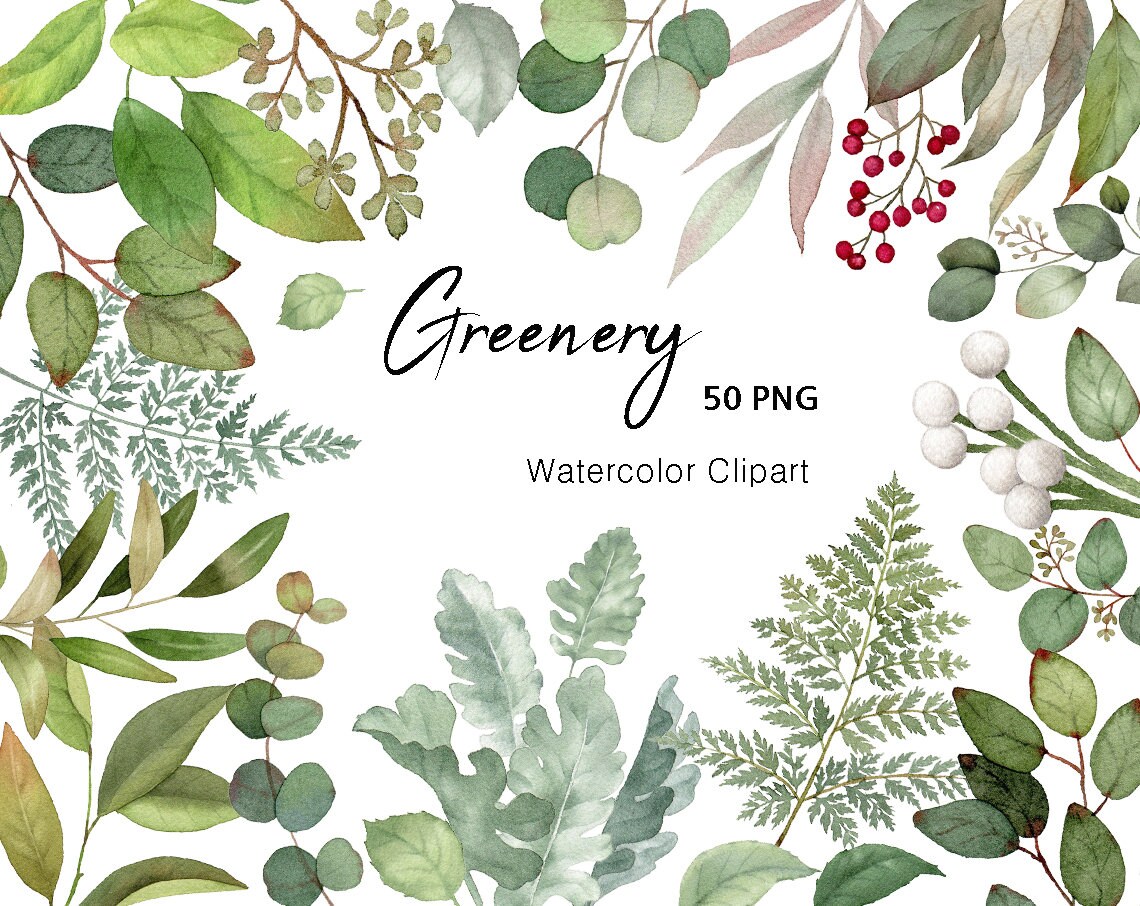 Watercolor Eucalyptus Clipartgreenery Branchesgreenery | Etsy