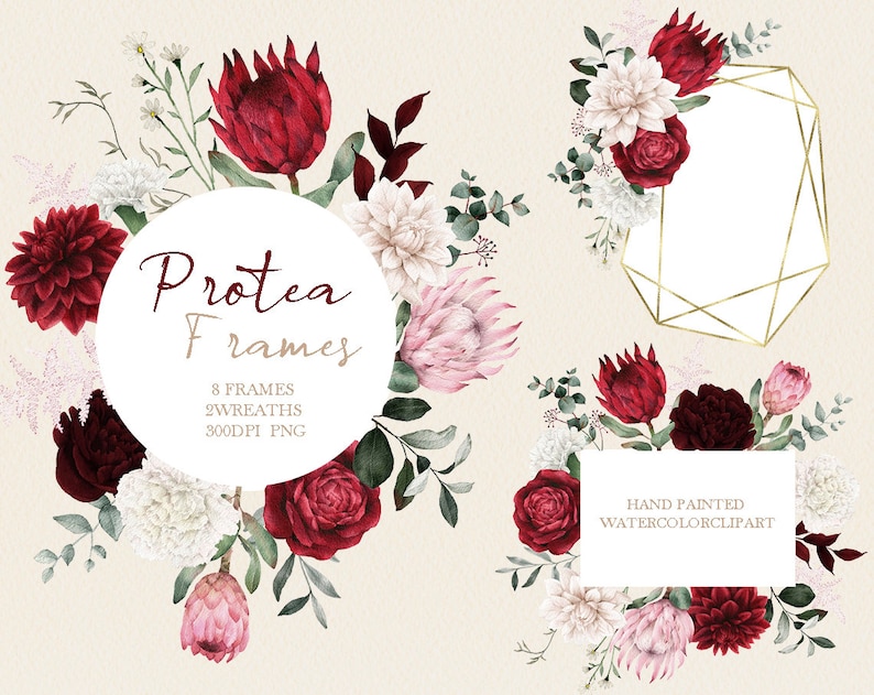 Watercolor Protea Clipart,pink Tropical Frame,wedding Invitation ...