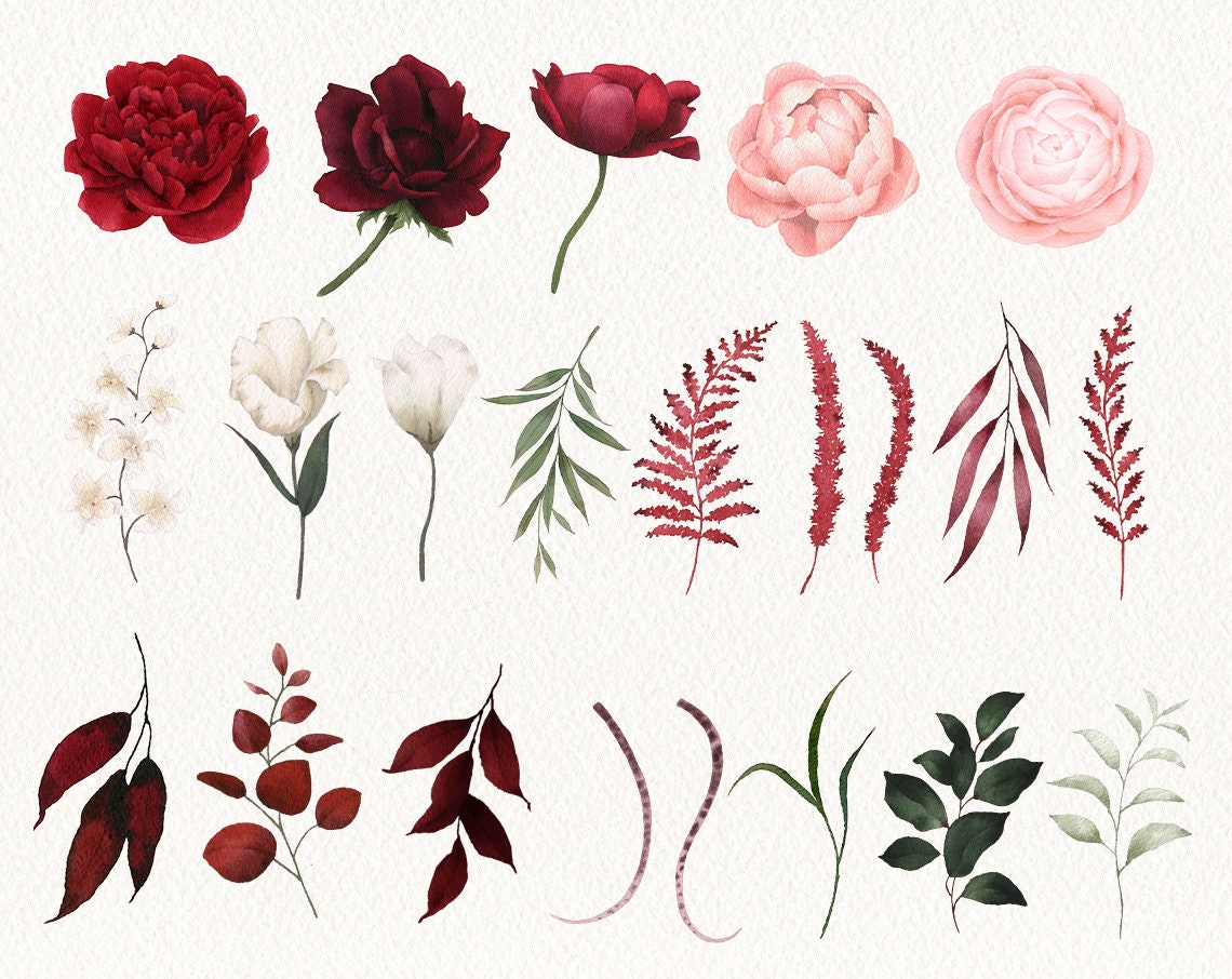 Watercolor Burgundy Flower Clipart,anemone Bouquet,peony Wreath ...