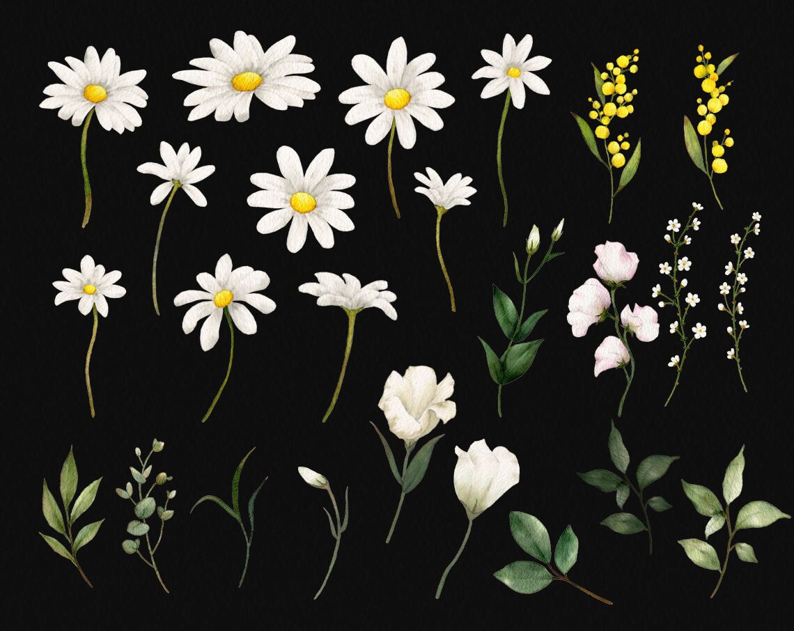 Watercolor Daisy Floral Clipartdaisy Wreath and - Etsy