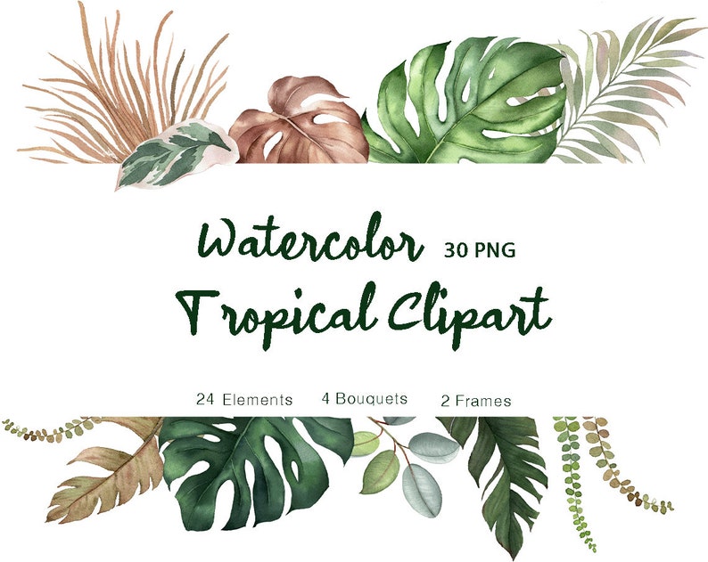 Watercolor Greenery Clipart,palm Leaf,tropical Leaves,greenery Clipart ...