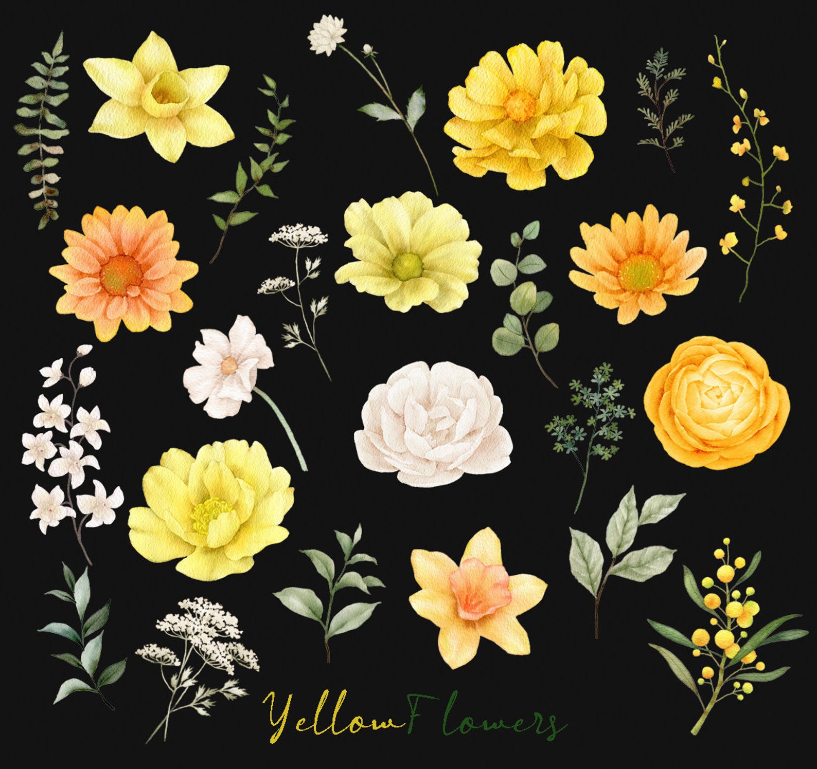 Watercolor Bohemian Yellow Flowers Clipartboho Floralhand - Etsy