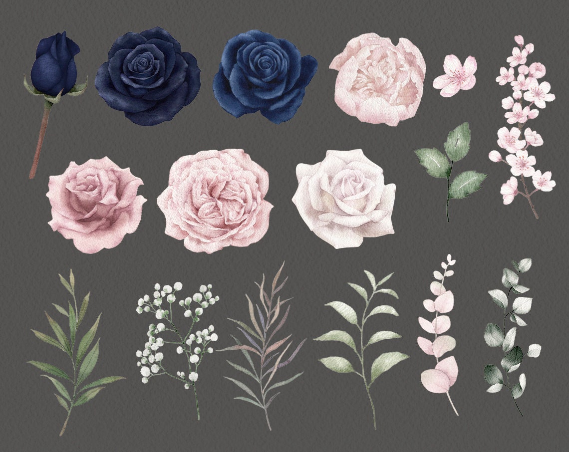 Navy and Blush Flower Clipartwatercolor Boho Rose | Etsy