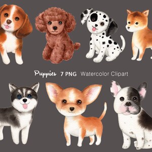 Watercolor Clipart,dog Puppy Clipart,dog Png,puppy Png,original Hand ...