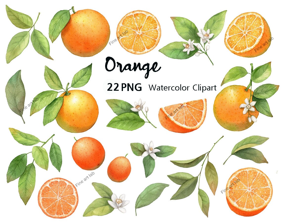 Watercolor Orange Clipartgreenery Clipartnursery - Etsy