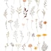 Watercolor Wildflower Floral Clipart,autumn Flower Frame,botanical ...