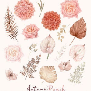 Watercolor Peach Flower Clipart,fall Floral Hydrangea Bouquet,peach ...