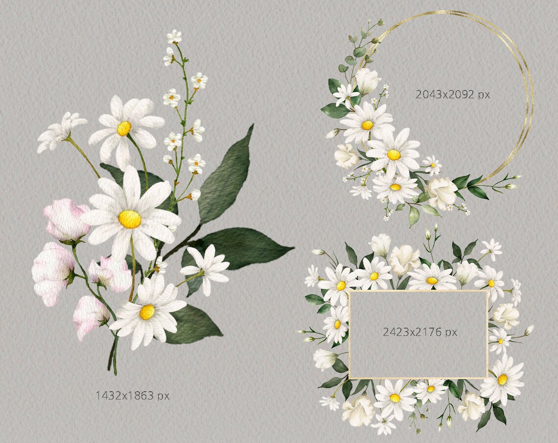 Watercolor Daisy Floral Clipartdaisy Wreath and - Etsy