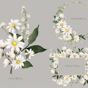 Watercolor Daisy Floral Clipart,daisy Wreath and Bouquet,spring ...