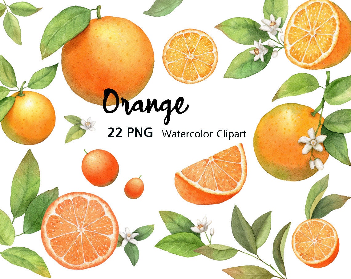 Watercolor Orange Clipartgreenery Clipartnursery - Etsy