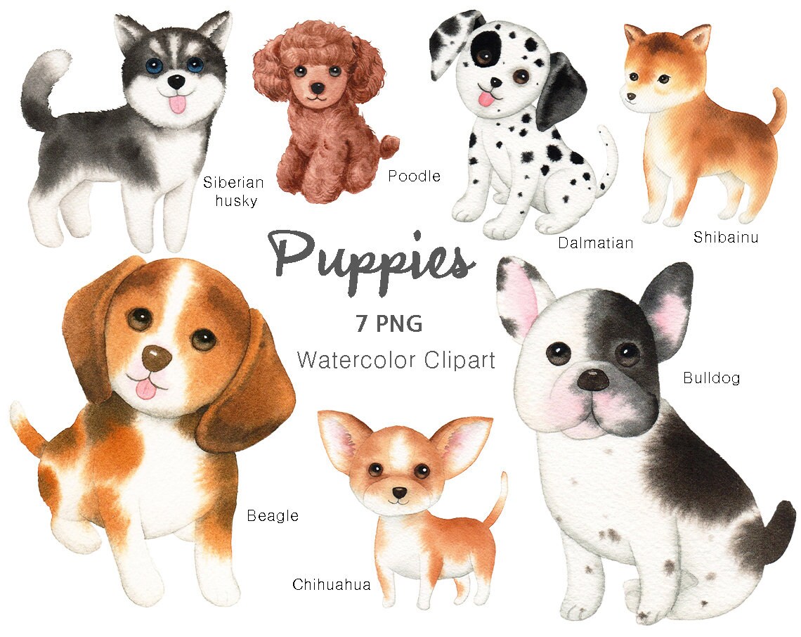 Watercolor Clipartdog Puppy Clipartdog Pngpuppy PNG - Etsy
