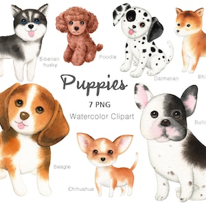 Watercolor Clipart,dog Puppy Clipart,dog Png,puppy Png,original Hand ...