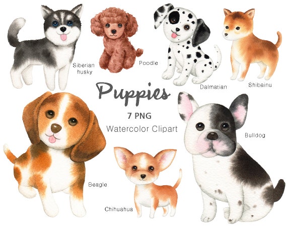 Watercolor Clipartdog Puppy Clipartdog Pngpuppy PNG - Etsy