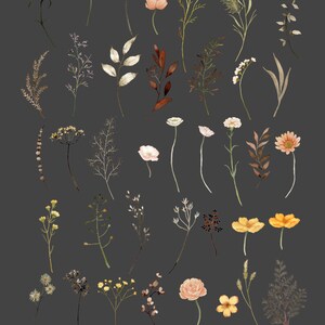 Watercolor Wildflower Floral Clipart,autumn Flower Frame,botanical ...