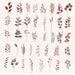 Watercolor Boho Dried Leaves Clipart,bohemian Flowers Leaves Greenery ...