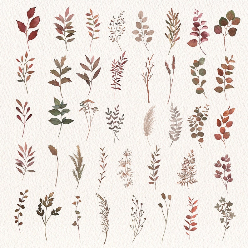 Watercolor Boho Dried Leaves Clipartbohemian Flowers Leaves | Etsy