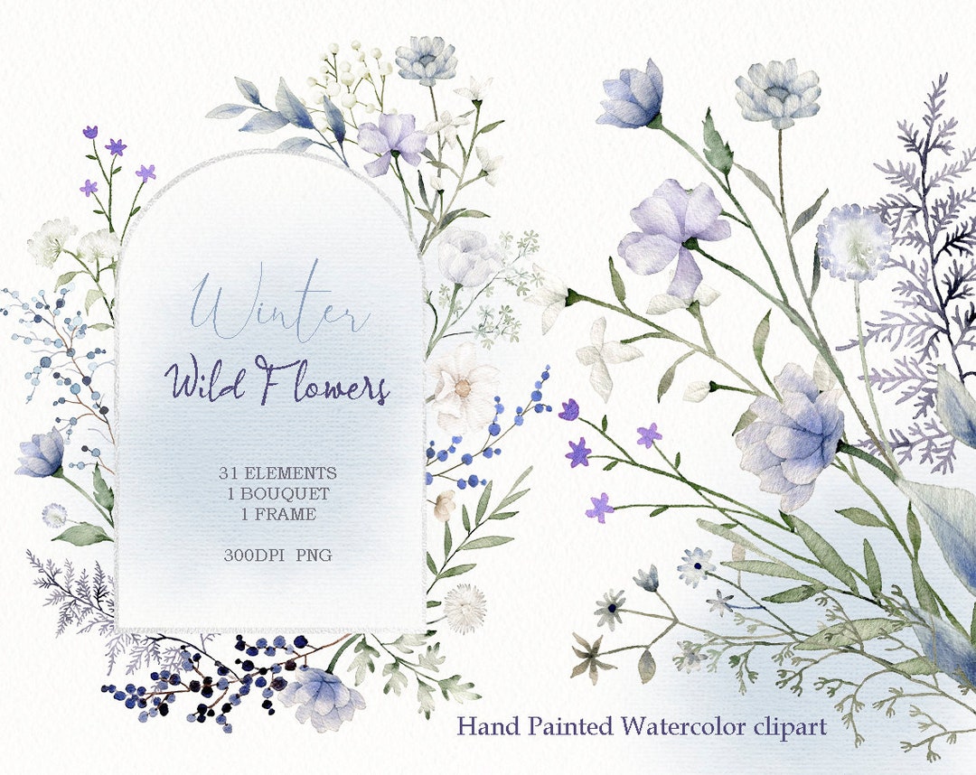 Watercolor Wildflower Floral Clipart,winter Flower Frame,garden Wreath ...