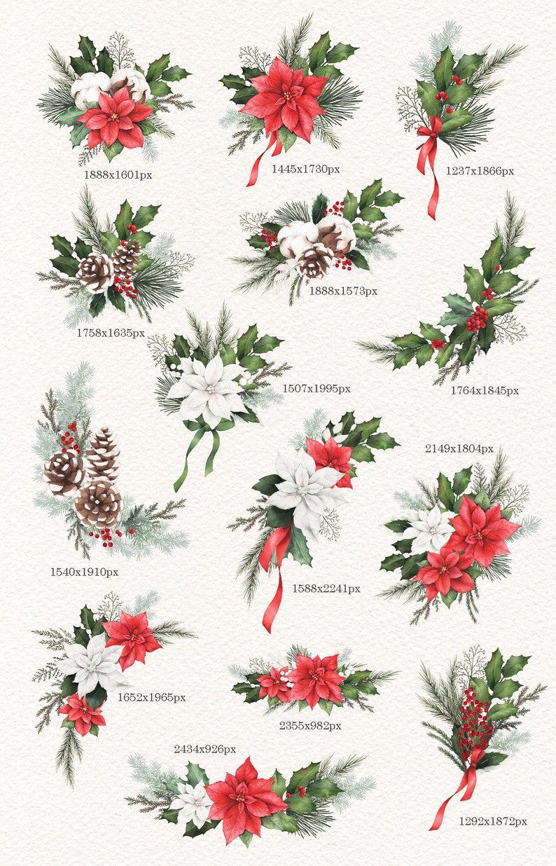 Watercolor Christmas Clipart.floral Bouquet,original Hand Painted,holly ...