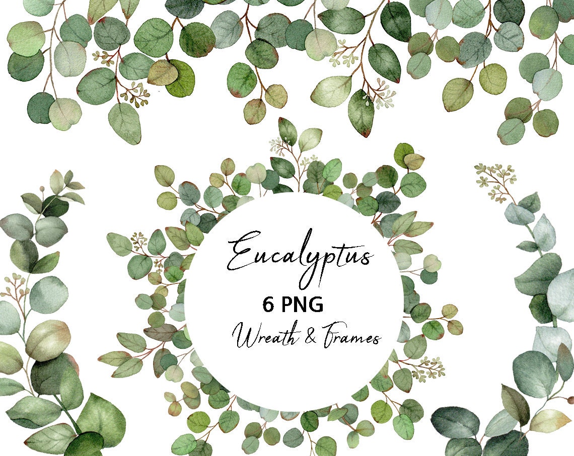 Watercolor Greenery Clipart,eucalyptus Arrangements,eucalyptus Wreath ...