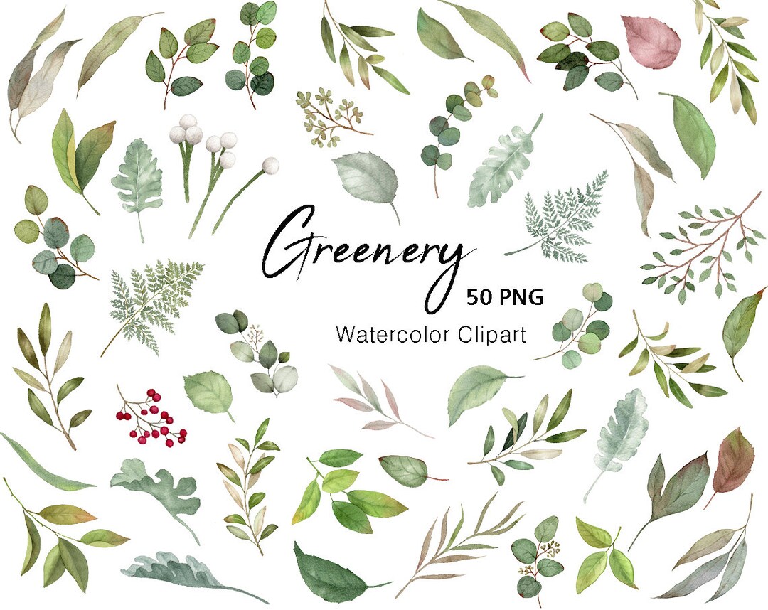 Watercolor Eucalyptus Clipart,greenery Branches,greenery Elements ...