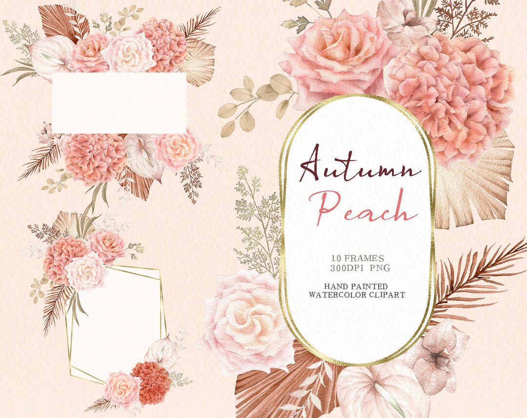 Peach Flower Clipart,watercolor Fall Floral Hydrangea,peach Frame ...