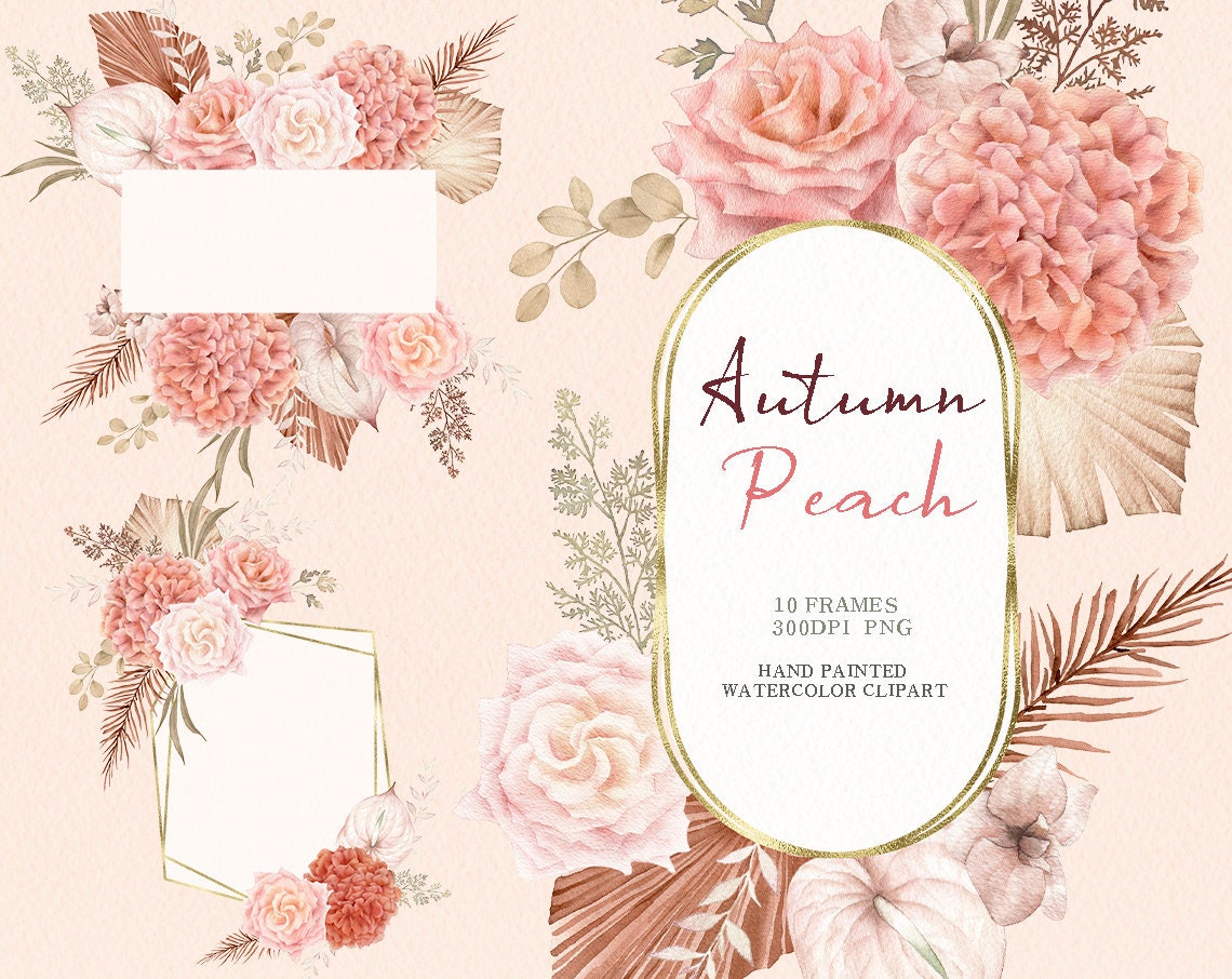 Peach Flower Clipart,watercolor Fall Floral Hydrangea,peach Frame ...