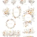 Watercolor Autumn Floral Wildflower Clipart,boho Flower Frame,botanical ...