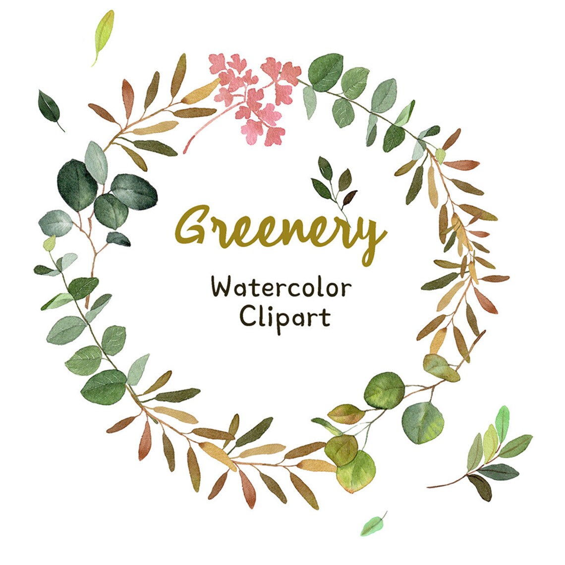 Watercolor Eucalyptus Clipart,greenery Clipart,eucalyptus Branches ...