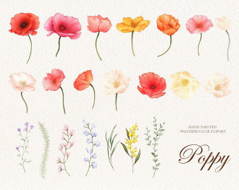 Watercolor Poppy Floral Clipart,red Flower Bouquets,boho Poppy Frame ...