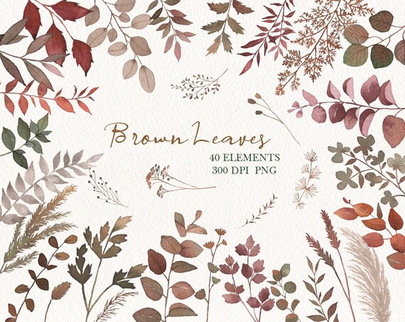 Watercolor Boho Dried Leaves Clipartbohemian Flowers Leaves | Etsy