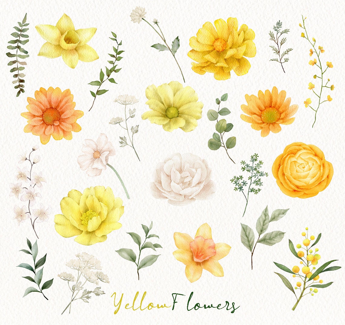 Watercolor Bohemian Yellow Flowers Clipartboho Floralhand - Etsy