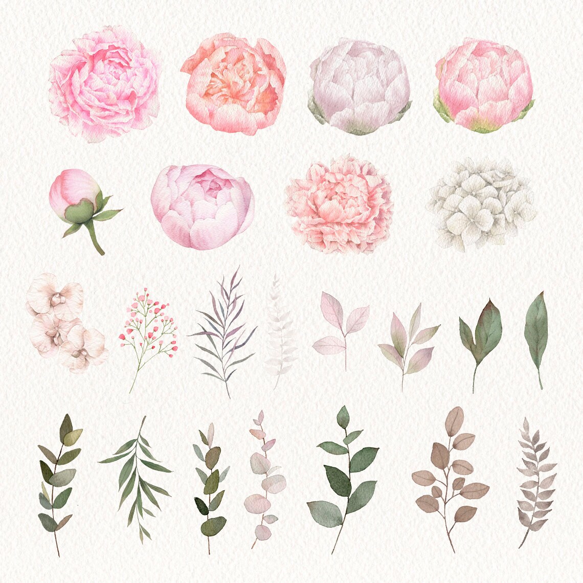 Watercolor Boho Floral Clipartpink Peony Bouquetscoral Peony - Etsy