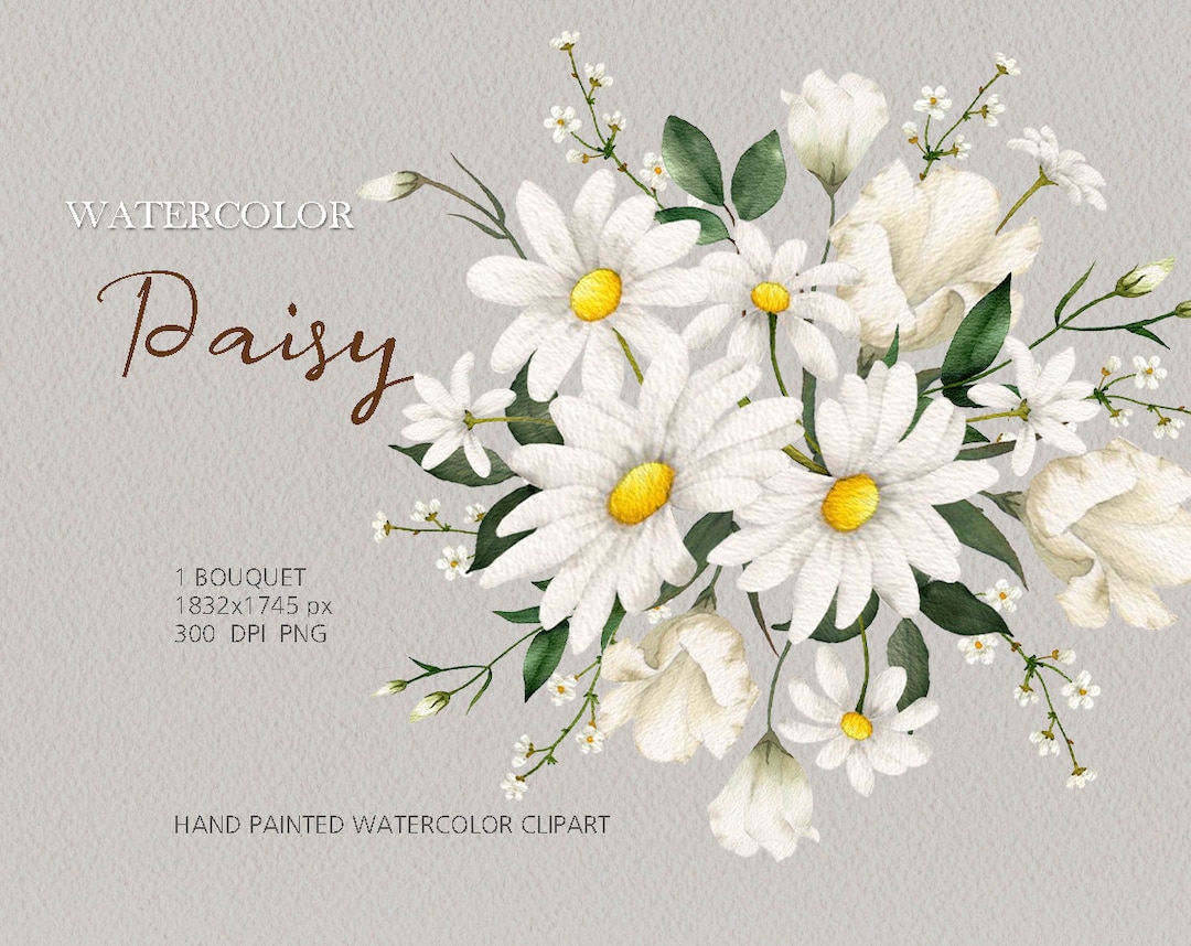 Watercolor Daisy Floral Clipart,daisy Bouquet,spring Wildflower ...
