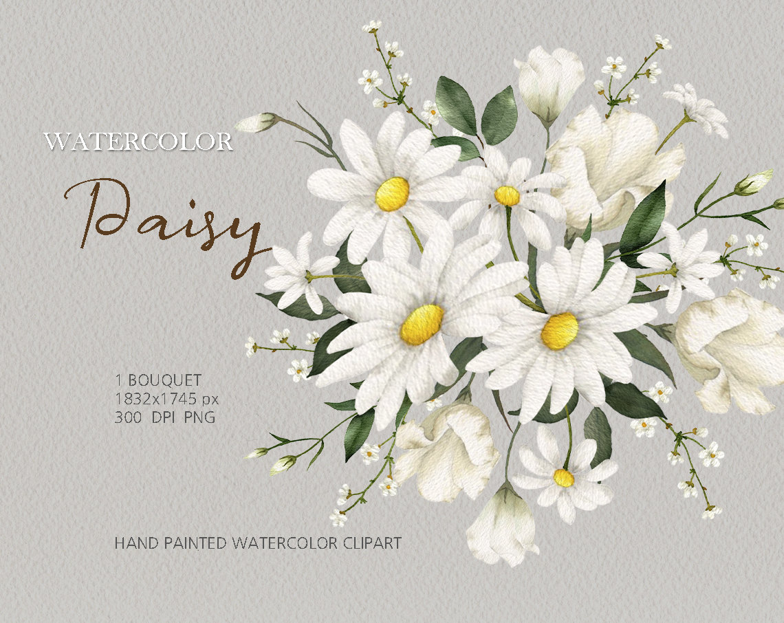Watercolor Daisy Floral Clipartdaisy Bouquetspring - Etsy