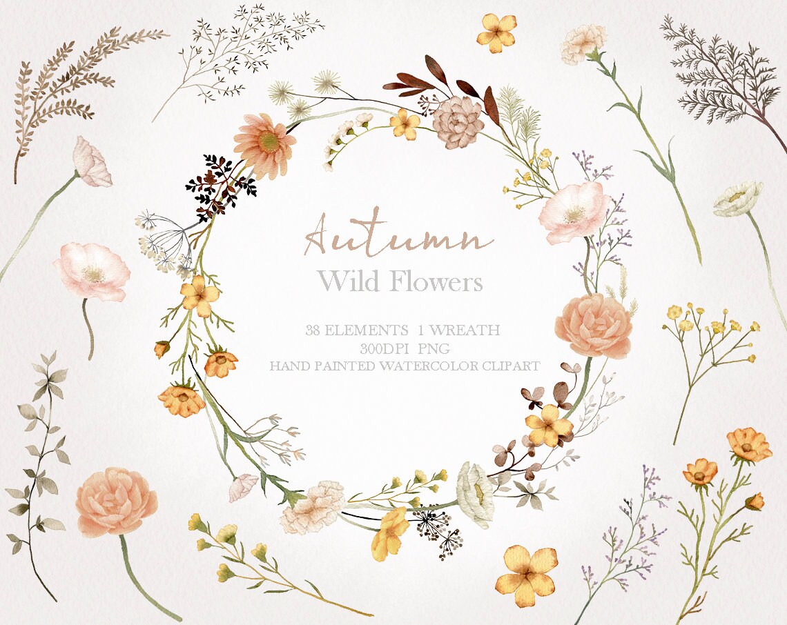 Watercolor Wildflower Floral Clipart,autumn Flower Frame,botanical ...